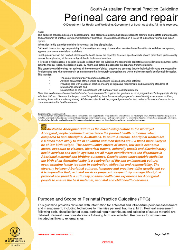 Perineal+Care+and+Repair PPG v1 0 240304 155135 240305 073111 | PDF ...