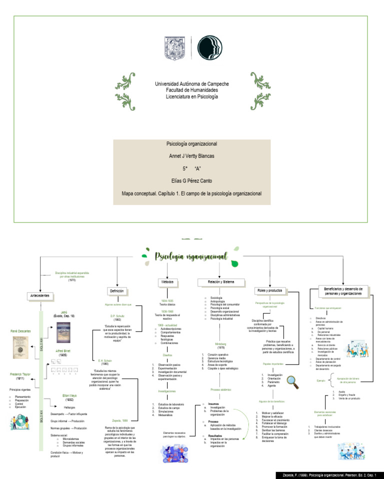 Mapa Conceptual. Capitulo 1 | PDF | Sicología | Psicología industrial y organizacional