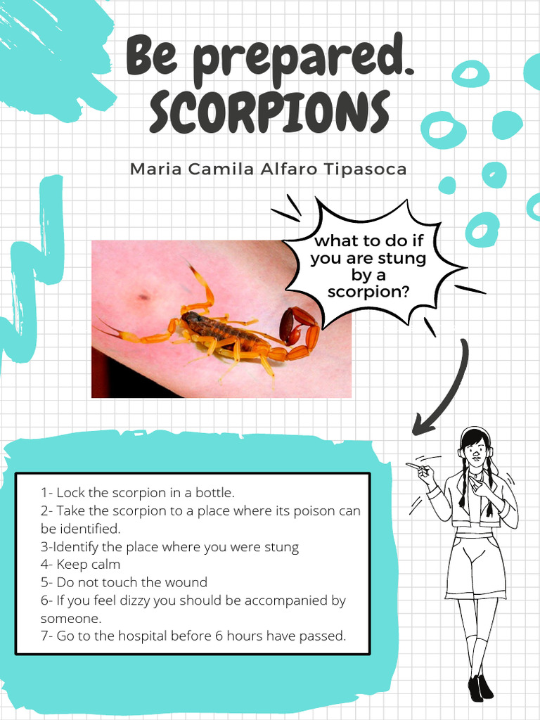 Scorpion Sting First Aid Guide | PDF
