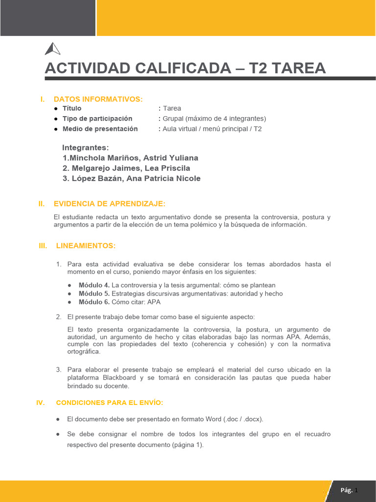 T2 - Comunicacion 2 - Grupo 8 | PDF