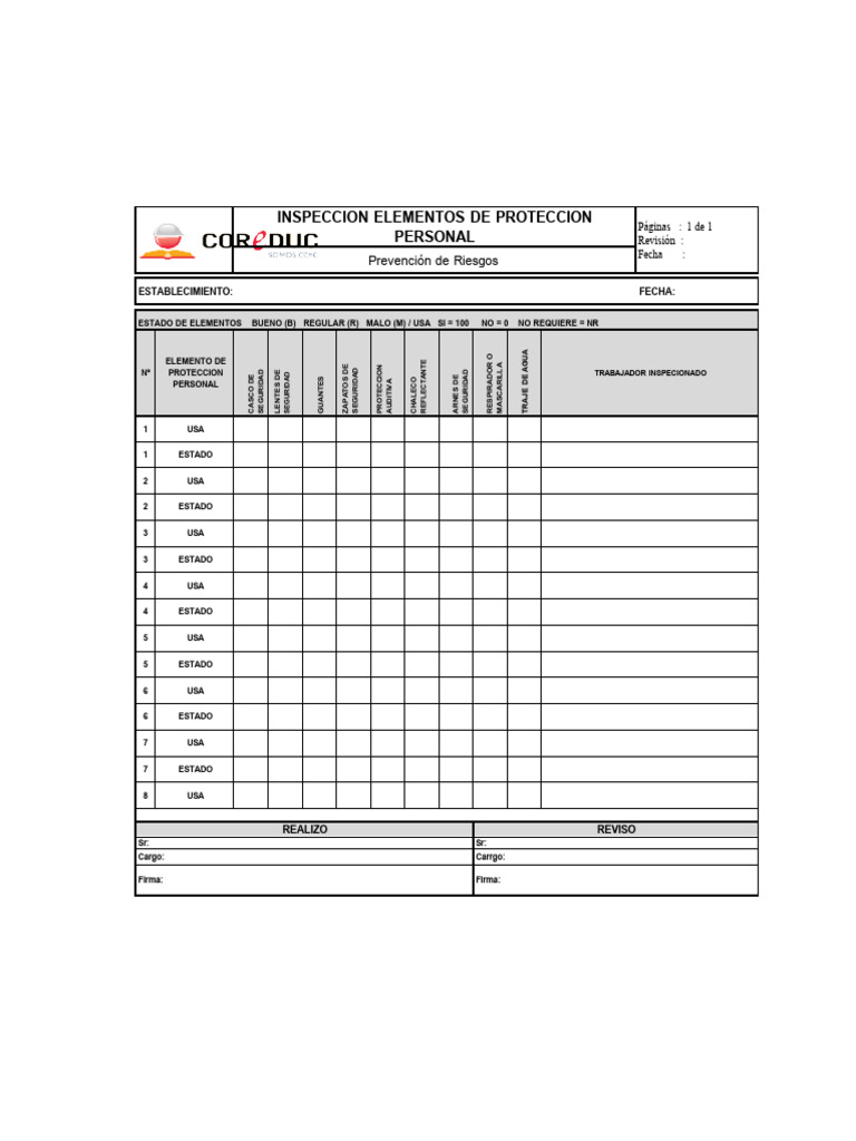 6.formato Inspeccion EPP | PDF