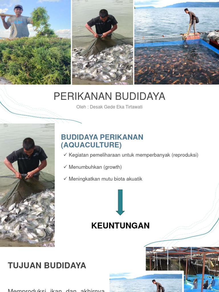 Panduan Lengkap Budidaya Perikanan | PDF