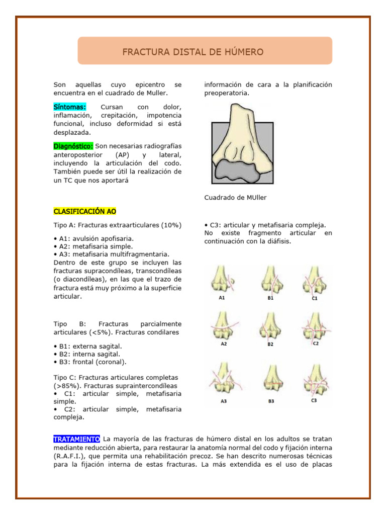 Fractura Distal de Húmero: Síntomas y Tratamiento | PDF | Articulación ...