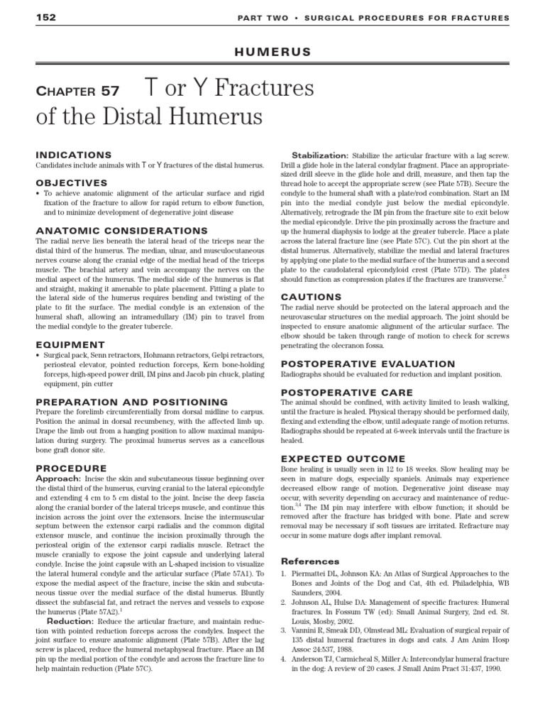 Johnson 2005 | PDF | Elbow | Musculoskeletal System