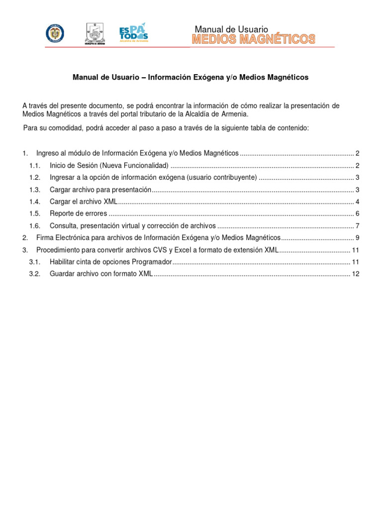 INSTRUCTIVO CARGUE INFORMACION EXOGENA - 528 Alcaldia | PDF | Archivo de computadora | Xml