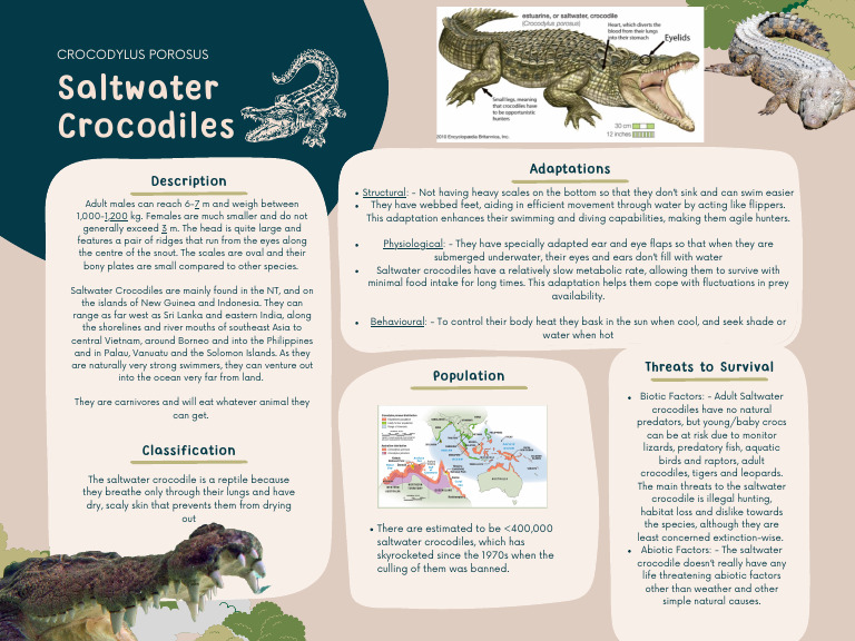 Saltwater Crocodile Science Assessment | Download Free PDF | Crocodile ...