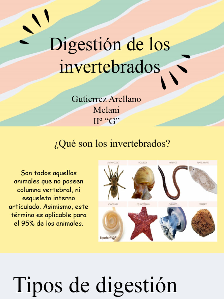 Digestión de Ivertebrados - Gutierrez Melani | PDF | Digestión ...