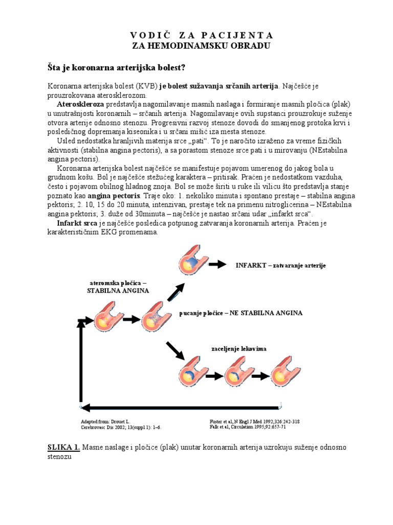 E - Vodic Za Pacijenta | PDF
