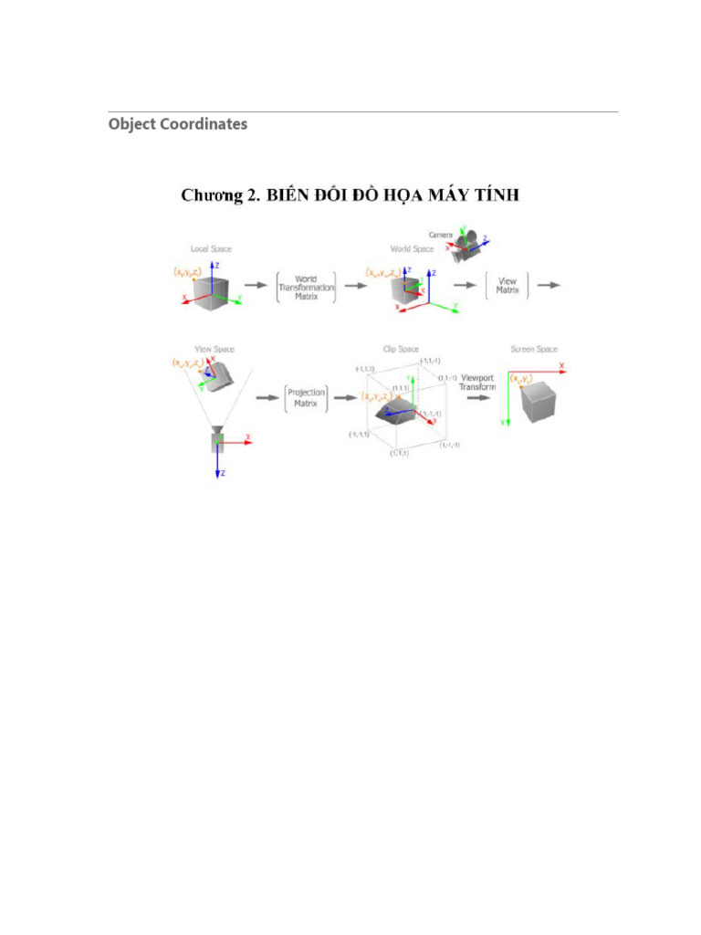 Object Coordinates | PDF