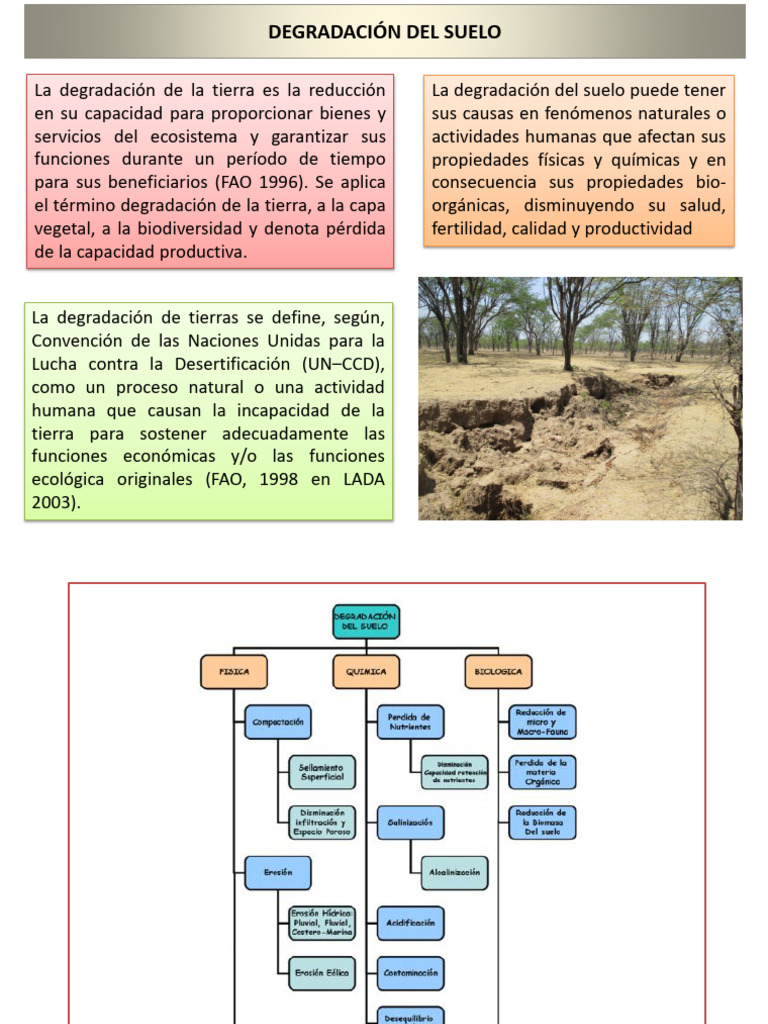 Degradación Del Suelo | PDF | Suelo | Degradación ambiental