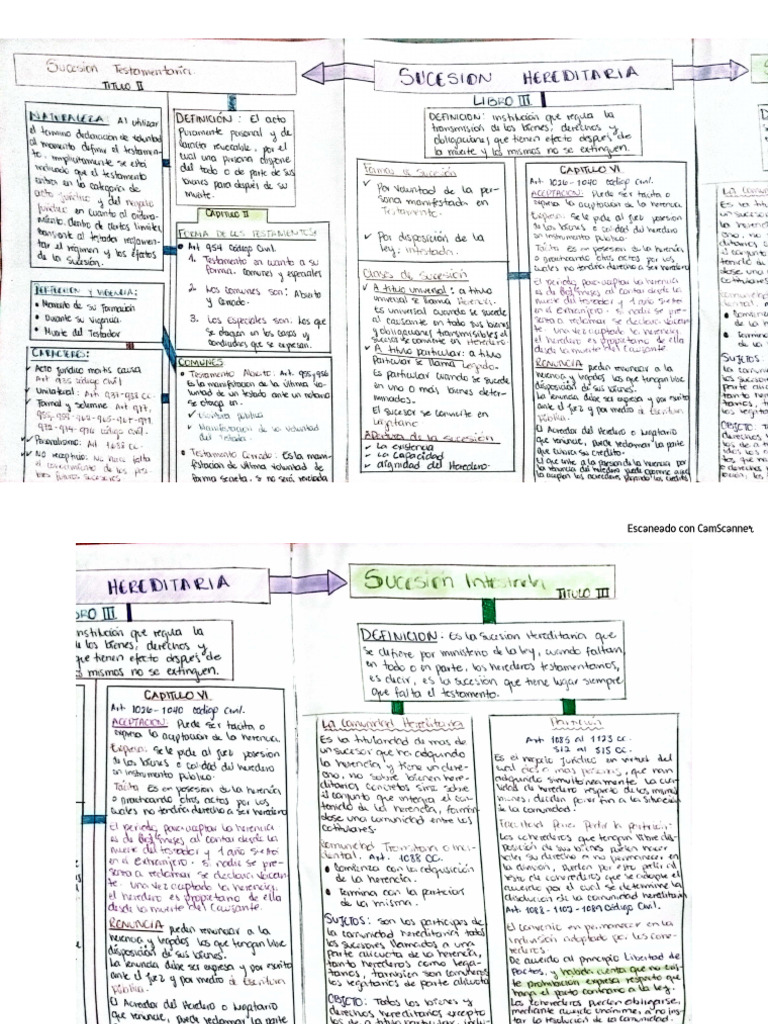 Mapa Mental Derecho de Sucesiones Lenis Mendez | PDF