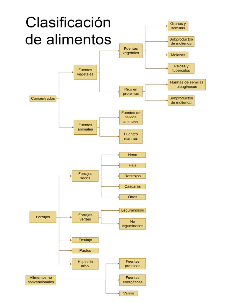 Traducción esquema_Leon Zavala | PDF