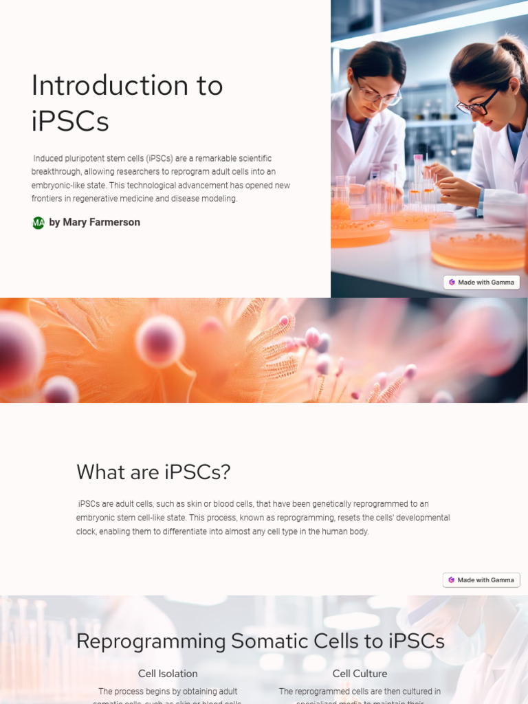 Introduction To iPSCs | PDF | Embryonic Stem Cell | Cell Potency
