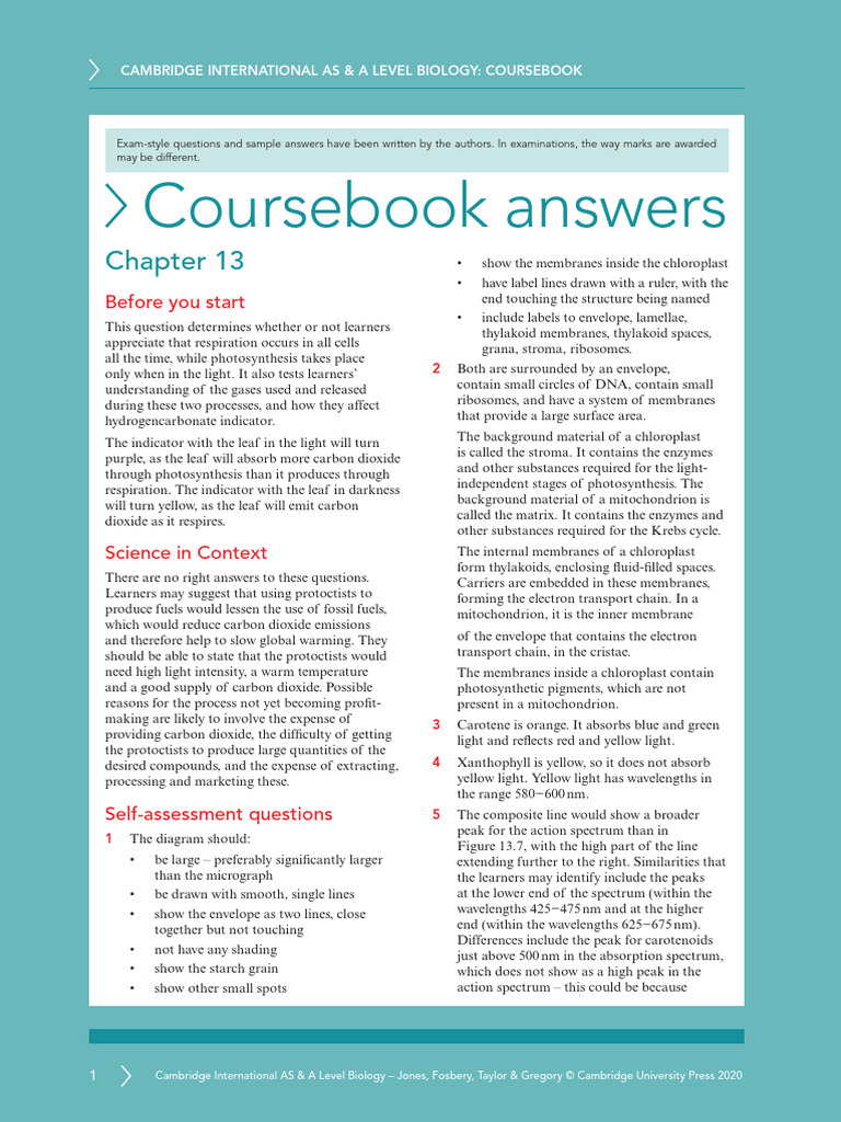 Coursebook Answers Chapter 13 Asal Biology | PDF | Photosynthesis | Chloroplast