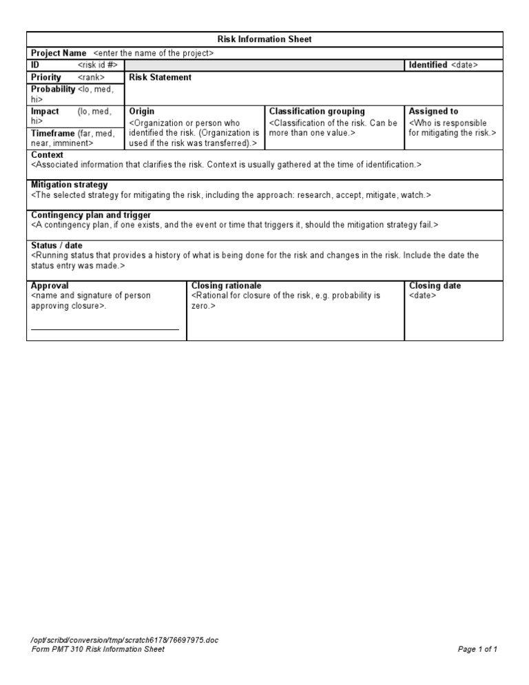 Risk Info Sheet | PDF | Business | Finance & Money Management