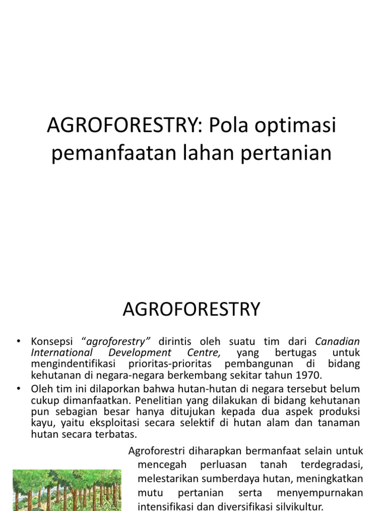 Agroforestry | PDF