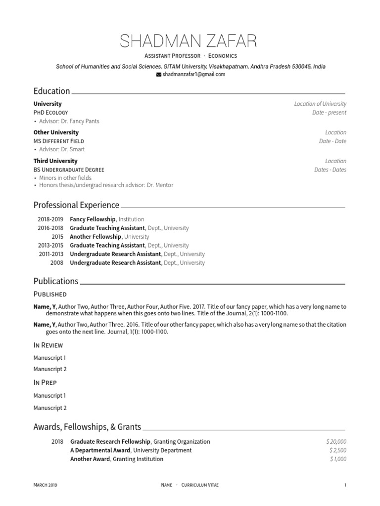 Academic_CV_Template (1) | Download Free PDF | Academia
