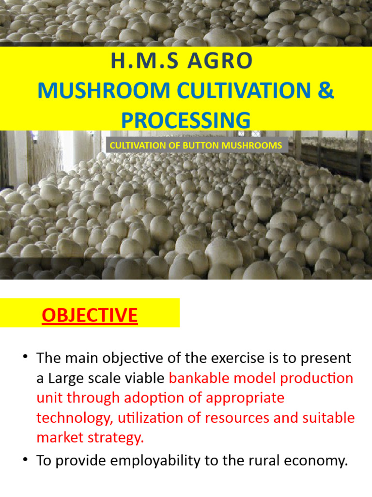 Button Mushroom Cultivation Guide | PDF | Edible Mushroom
