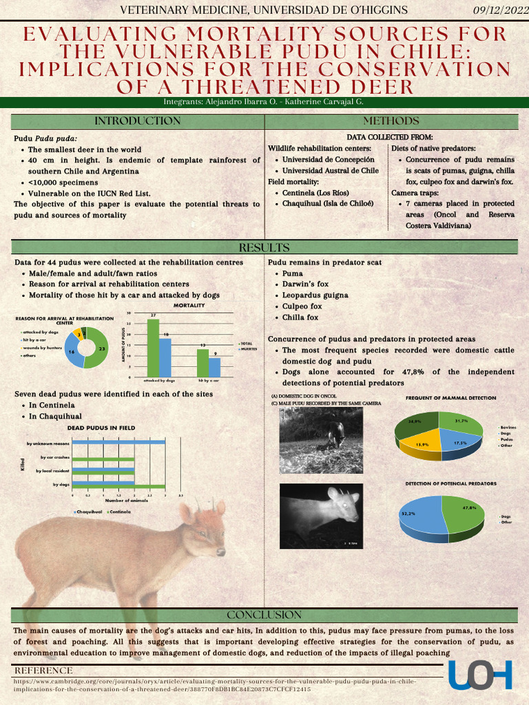 Pudu Conservation Threats Analysis | PDF | Deer | Zoology