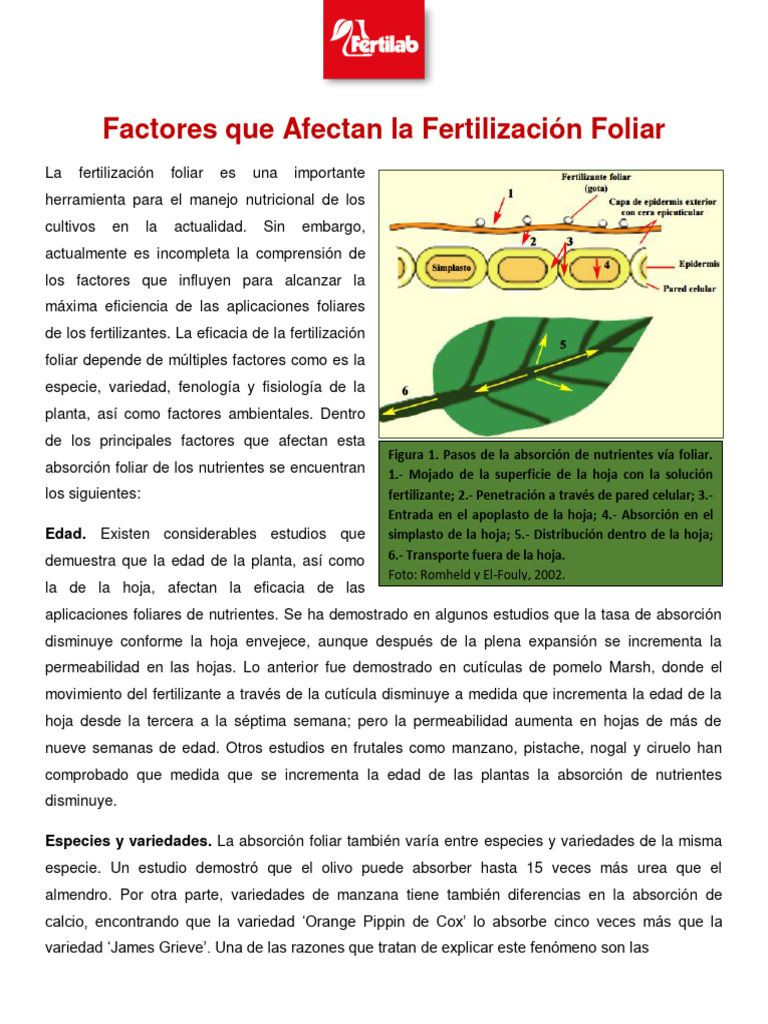 Factores Que Afectan La Fertilizacion Foliar | Descargar gratis PDF ...