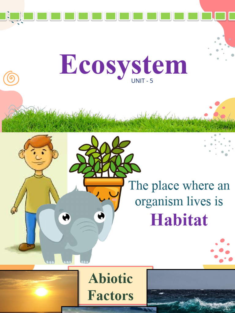 Unit 5 - Ecosystem (Biotic and Abiotic Factors) | PDF | Ecosystem ...