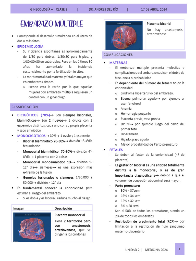 3. EMBARAZO MULTIPLE | PDF | Nacimientos Múltiples | El embarazo