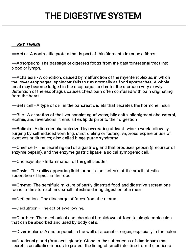 Paramedic Notes | PDF | Peritoneum | Gastrointestinal Tract
