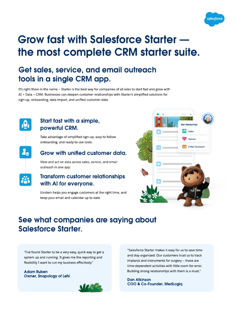 Salesforce Starter Data Sheet - 2352024195327609 | PDF | Customer Relationship Management ...
