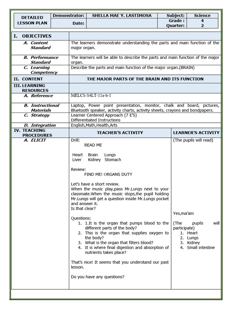 Lastimosa Final Demonstration DLP | PDF | Cerebellum | Brain