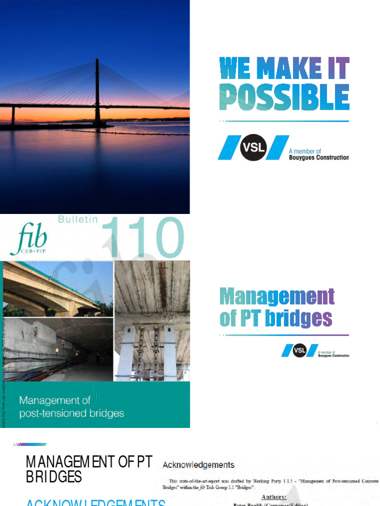 Management Strategies for PT Bridges | PDF