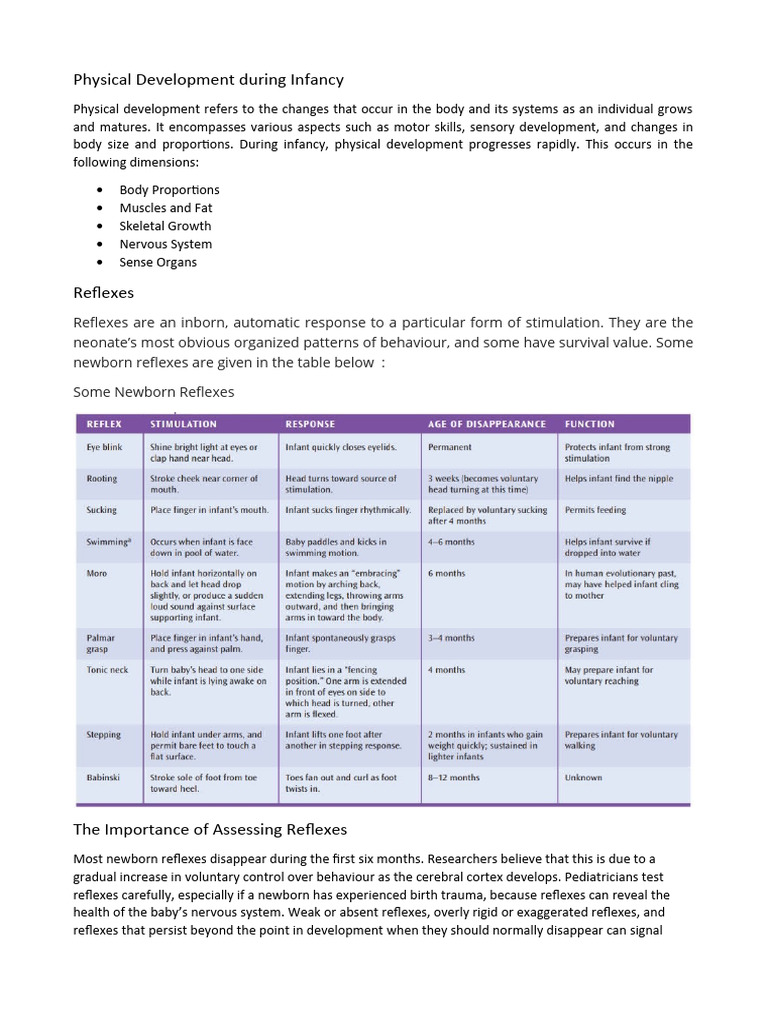 Physical Development 1 | PDF | Infants | Nervous System