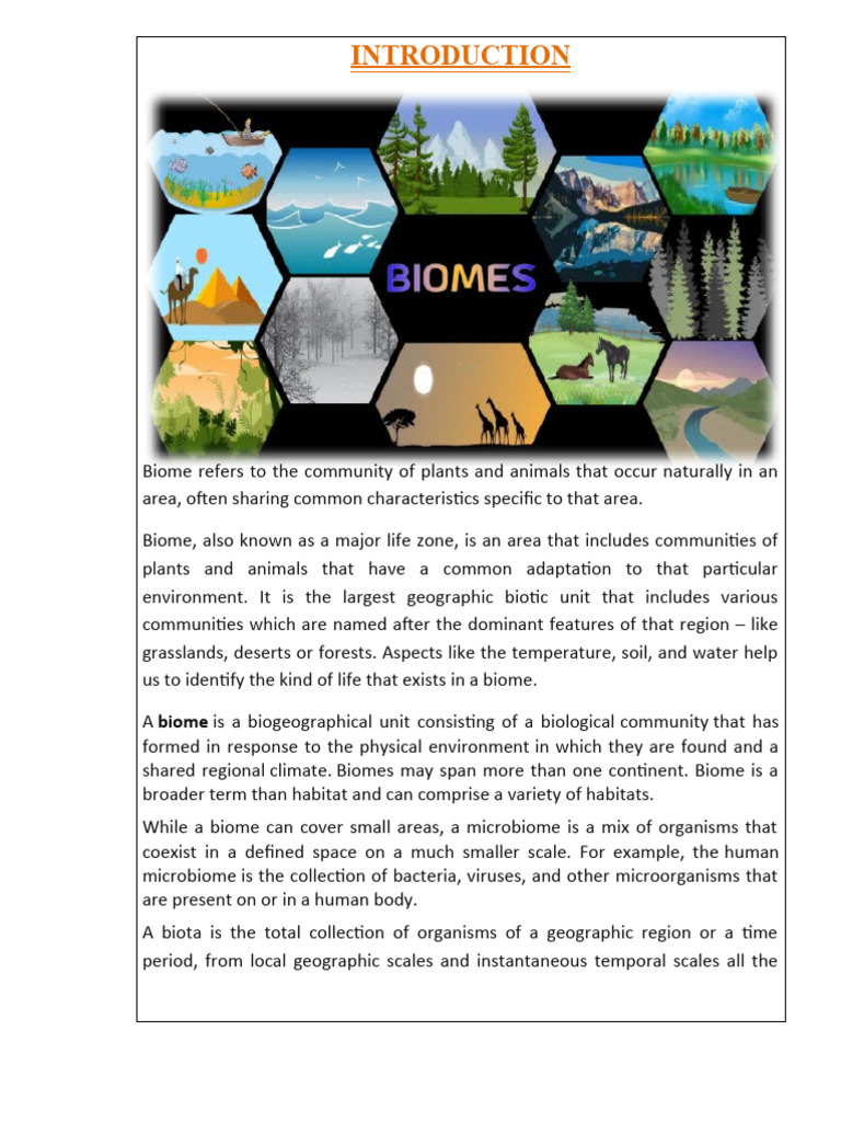 BIOMES | PDF | Physical Geography | Environmental Science