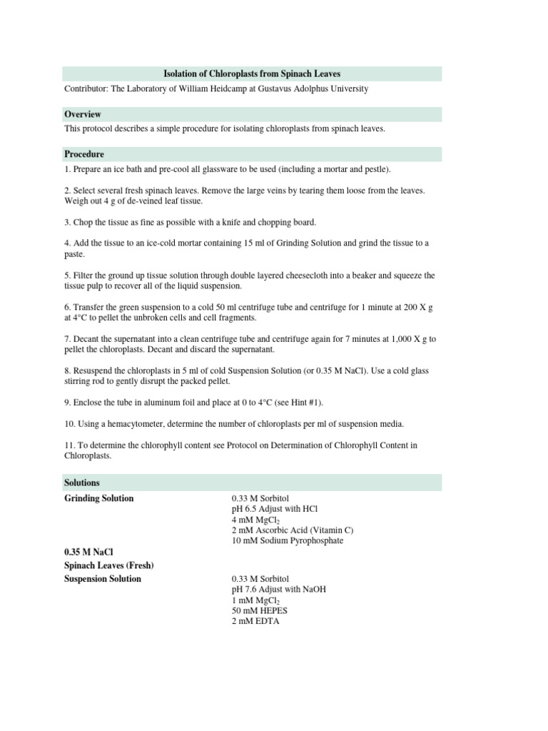 Chloroplast Isolation from Spinach | PDF | Sodium Hydroxide | Sodium ...