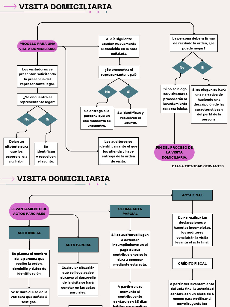 Proceso de Visita Domiciliaria Fiscal | PDF