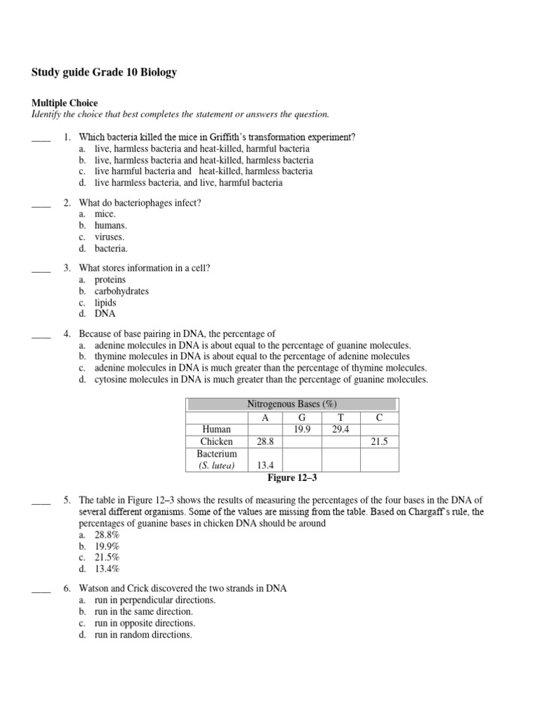 Study Guide Sheet 3rd Term 10 Without Answers | PDF | Rna | Dna