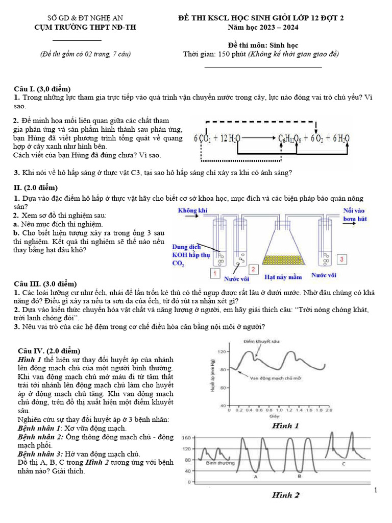HSG 12, 2023-2024, NĐ-TH, HS | PDF