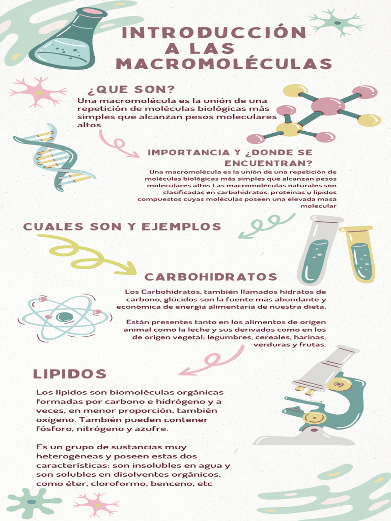 Introducción a las Macromoléculas | PDF | Salud y bienestar
