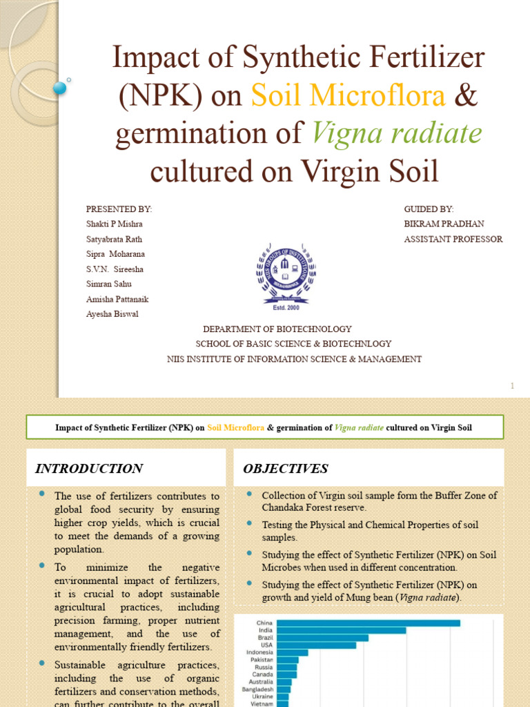 Soil Project 1 | Download Free PDF | Soil | Fertilizer