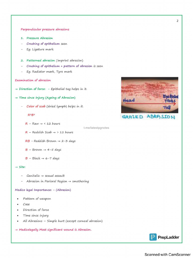 Prepladder Forensic Note | PDF
