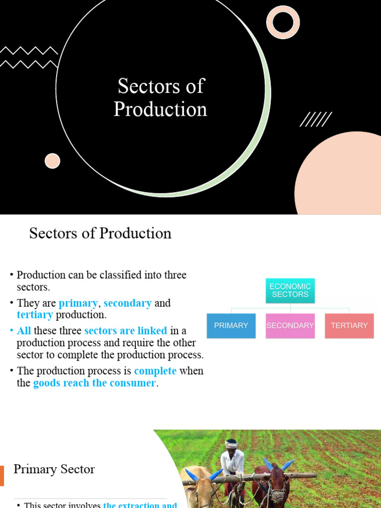 Sectors of Production | PDF