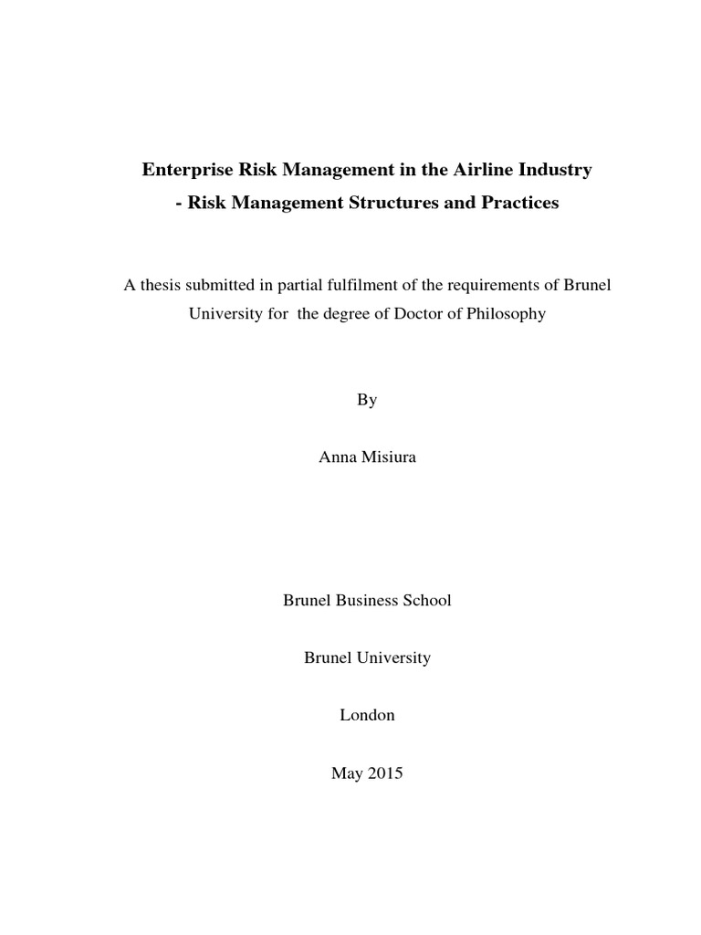 Fulltext Thesis | Download Free PDF | Risk Management | Risk