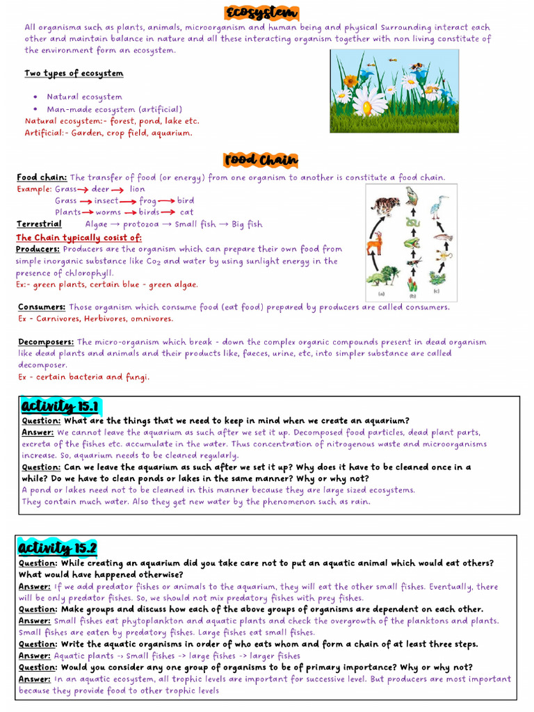 Chapter-13-Our-Environment- | PDF