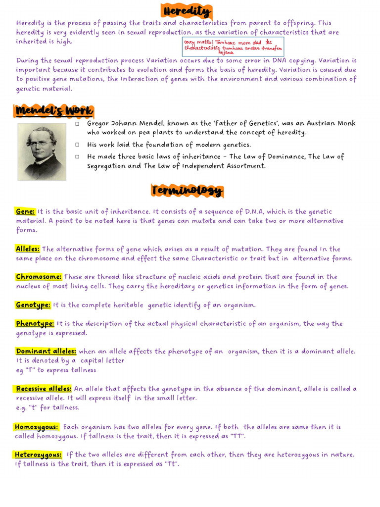 Chapter 8 Heredity | PDF