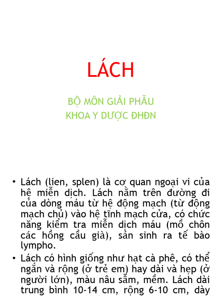 Lách PDF | PDF