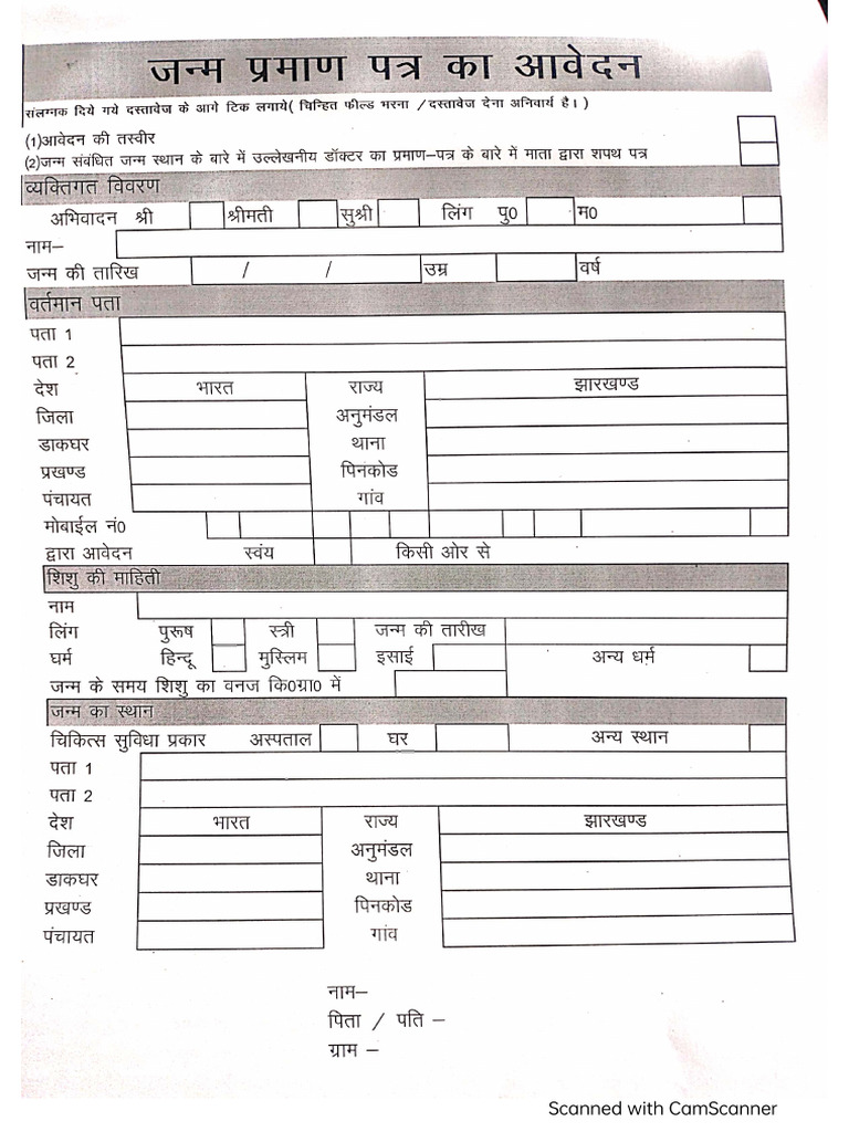 New Application Form Birth | PDF