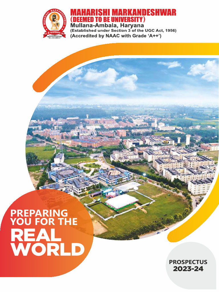 Real World: Preparing You For The | Download Free PDF | Libraries | Expert
