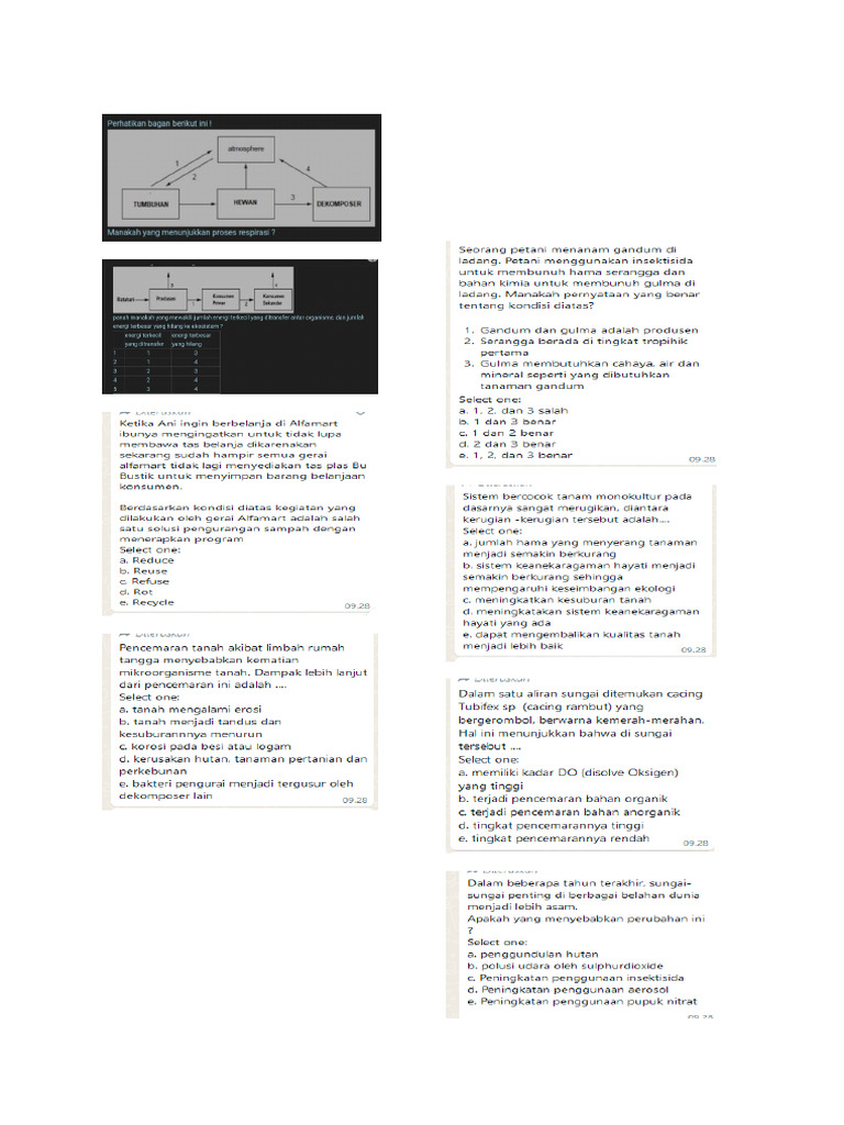 Soal Latihan Ekosistem Pdf