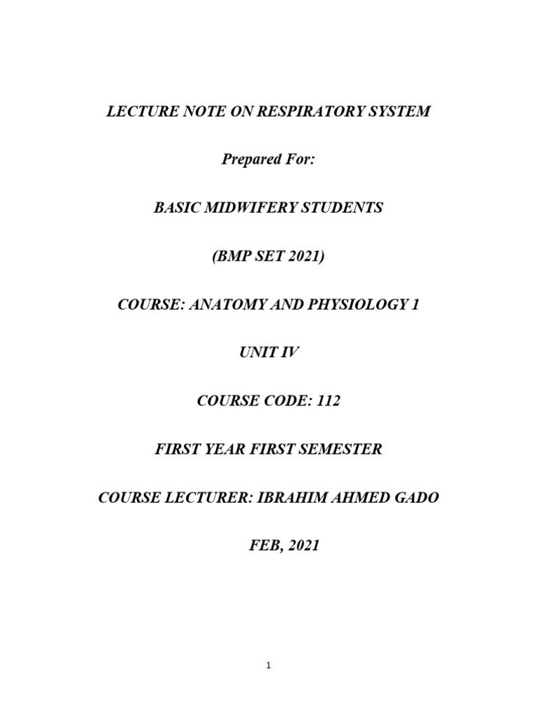 Respiratory System 1 1 Download Free Pdf Lung Respiratory Tract