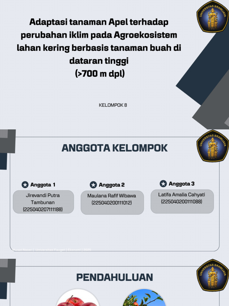 Maes Fix BGT | PDF