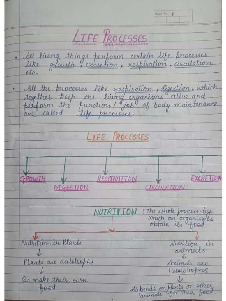 ch-1 Life Processes (Biology) Class 10 | PDF